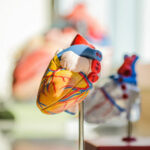 STIC Pressure Monitor | Everis