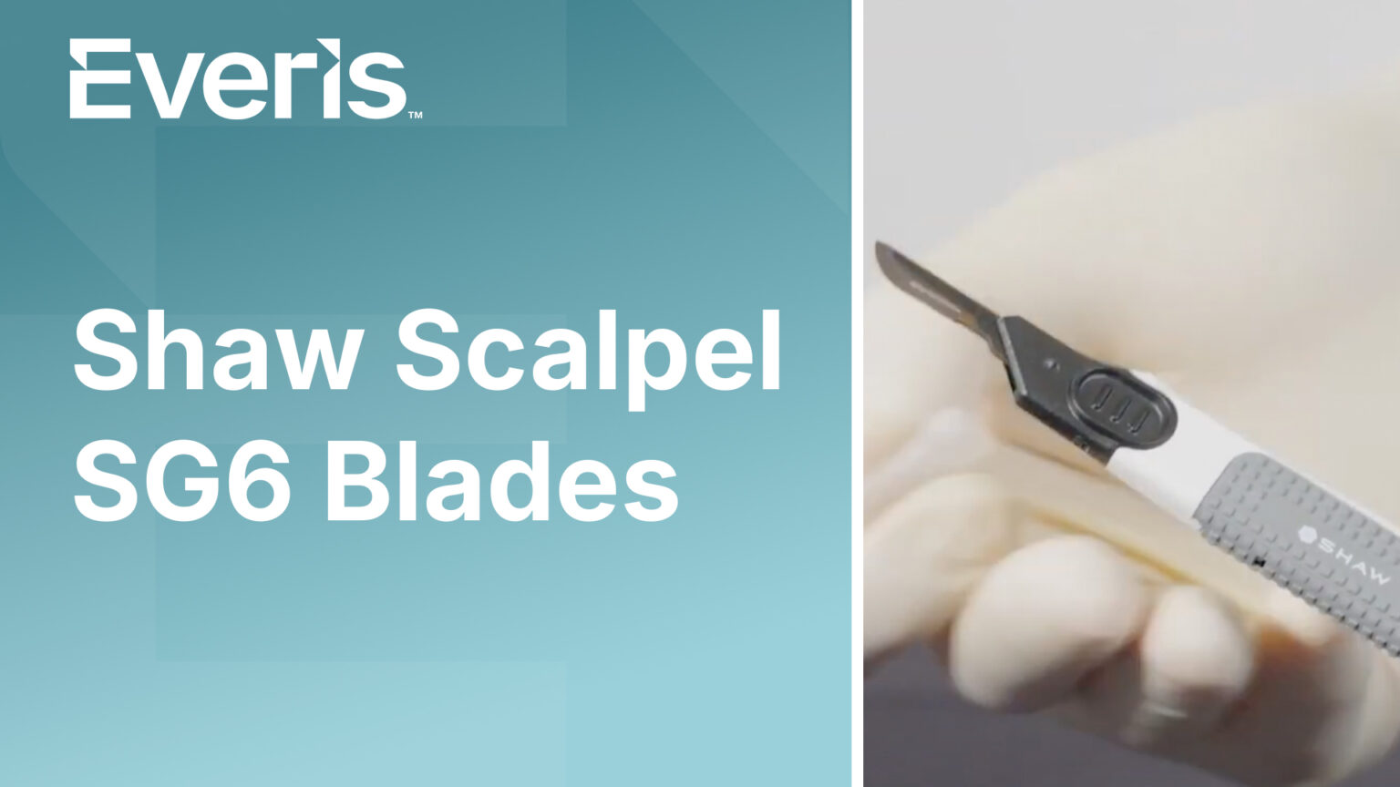 Shaw Scalpel | Everis