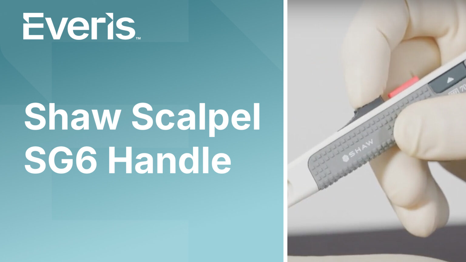 Shaw Scalpel System | Thermal Scalpel | Everis